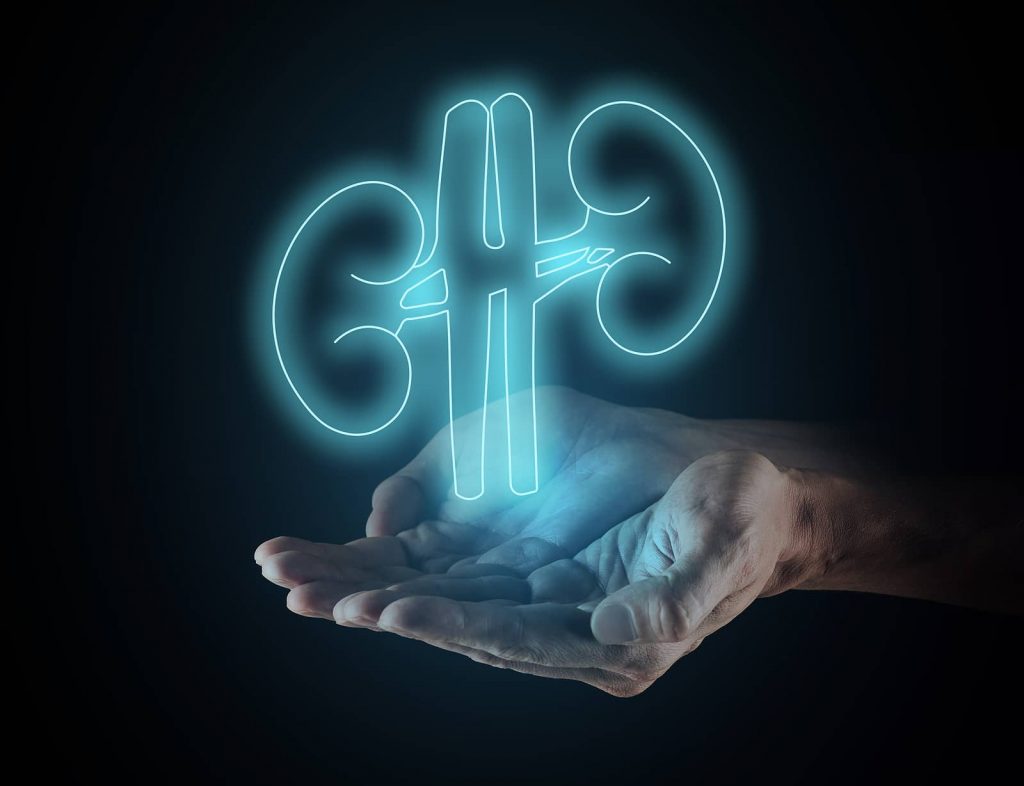 Medicare Advantage Part B Give Back Program Benefits